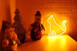 Cat - "Cat" MEOW - Take me home, the perfect LED Neon for Cat Lovers.