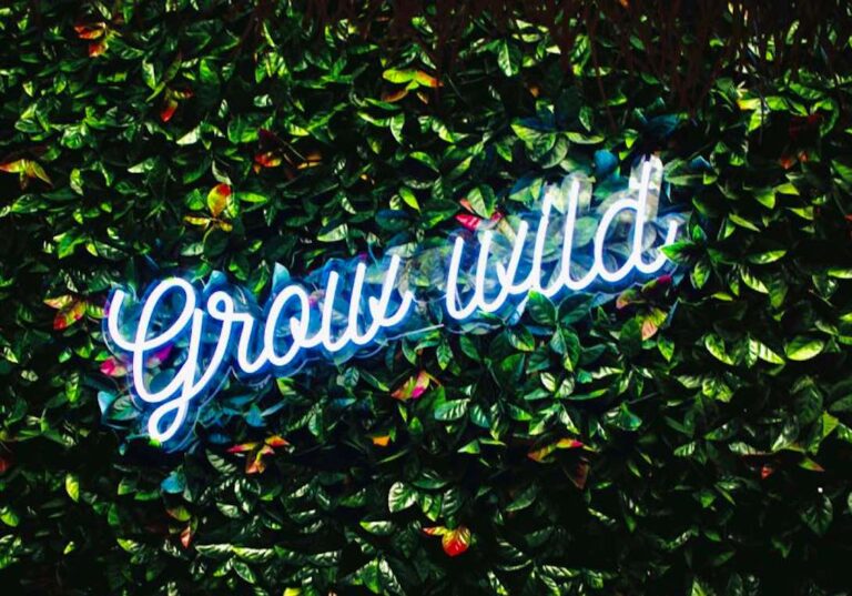 Grow Wild - Grow Wild - Perfect for kids, or even adults.